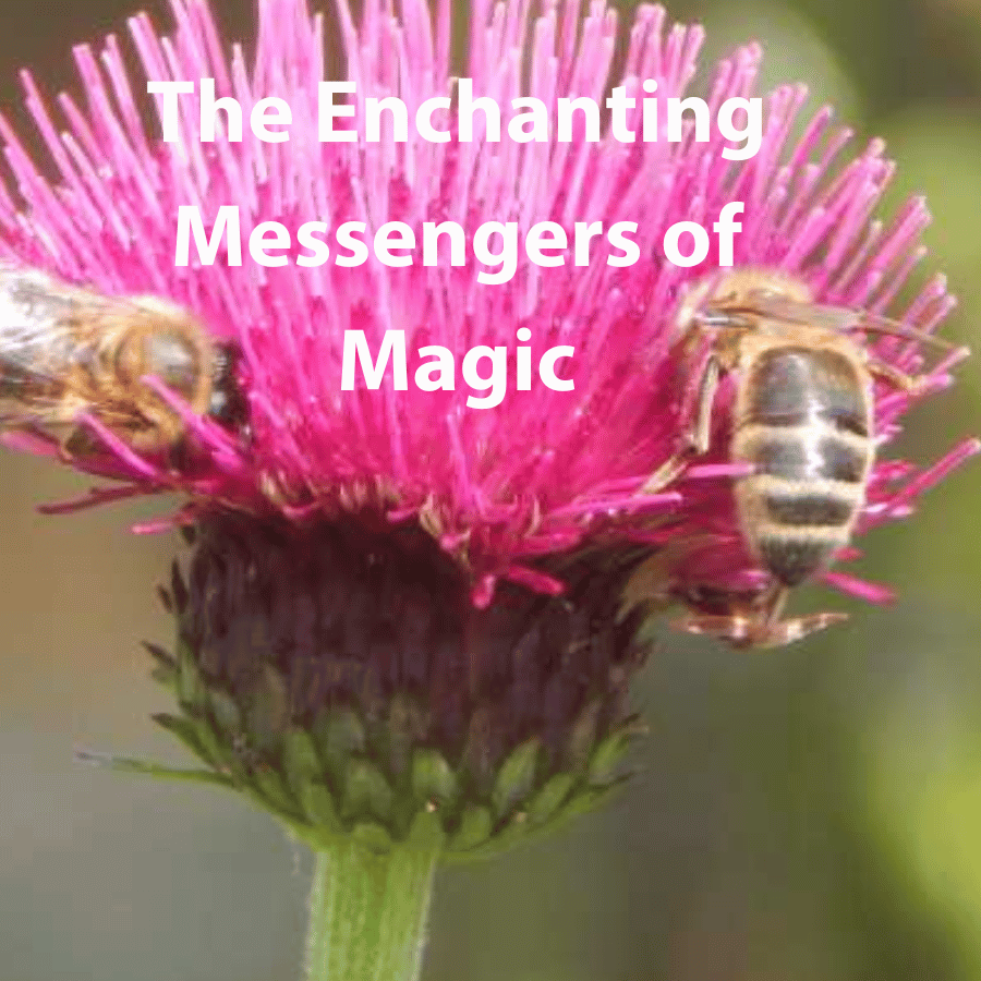 The Enchanting Messengers of Magic - Mollie Mathews